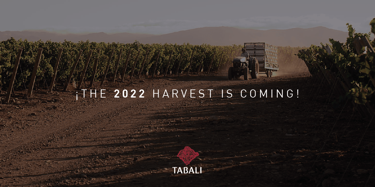 ¡The 2022 harvest is coming! - Tabali